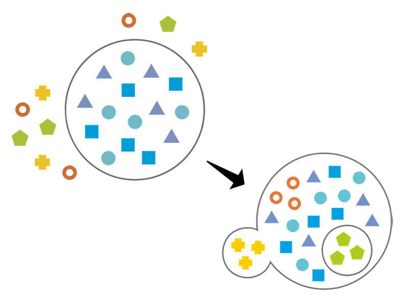 Sich integrieren und integriert werden - DemokratieWEBstatt.at